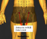Acupressure Point UB54 – HerbalShop