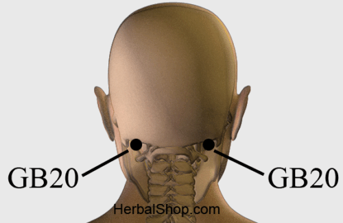 Acupressure Point GB20 – HerbalShop