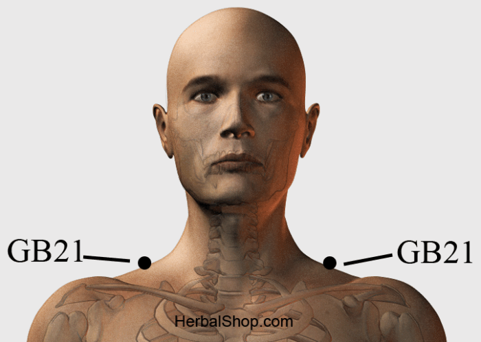 Acupressure Point GB20 – HerbalShop