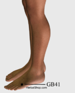 Acupressure Point LU1 – HerbalShop
