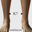 Acupressure Point UB23 – HerbalShop