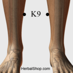Acupressure Point SP9 – HerbalShop