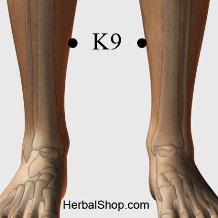 Acupressure Point SP9 – HerbalShop