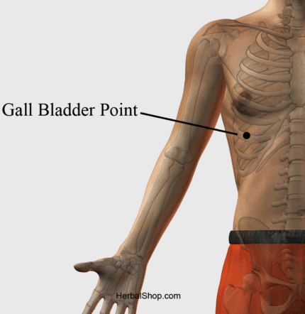 Acupressure Point Gall Bladder Point – HerbalShop