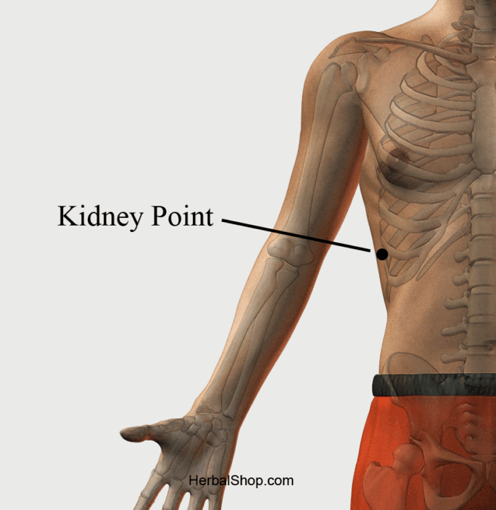 Acupressure Point UB48 (also known as BL-48) – HerbalShop