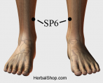 Acupressure Point UB23 – HerbalShop