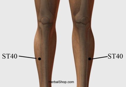 Acupressure Point SP9 – HerbalShop