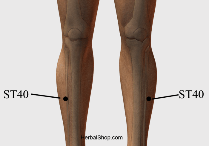 Acupressure Point SP9 – HerbalShop