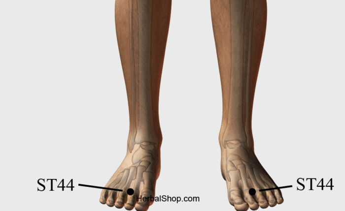 Acupressure Point GV14 (also known as DU-14) – HerbalShop