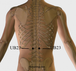 Acupressure Point GV3 (also known as DU-3) – HerbalShop